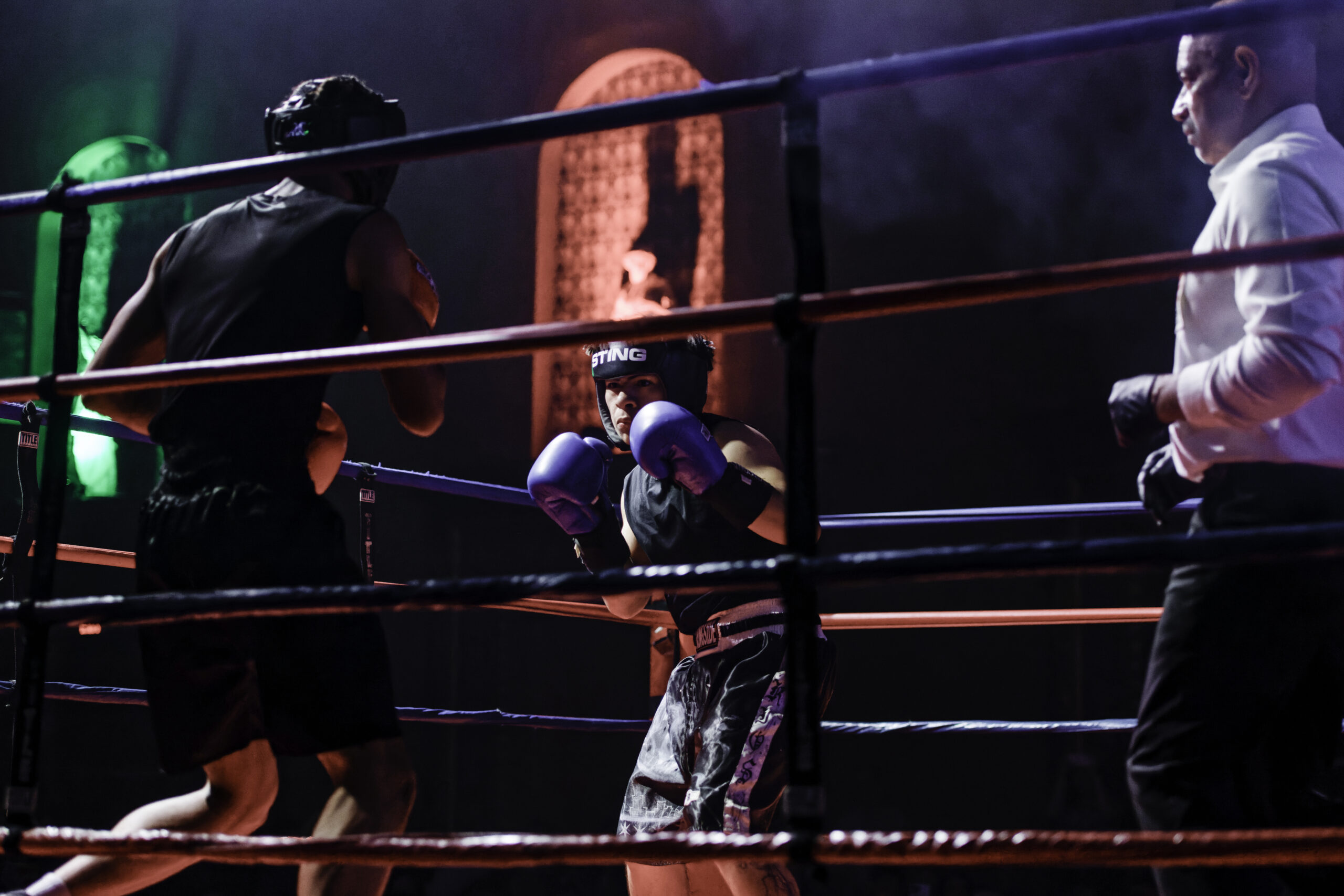 Night at the Fights - National Italian American Sports Hall of Fame